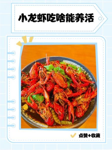 小龙虾吃什么食物_小龙虾喂养方法-第3张图片-山城妙识