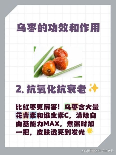 乌枣是什么_乌枣的功效与作用-第3张图片-山城妙识 乌枣是什么_乌枣的功效与作用-第3张图片-山城妙识