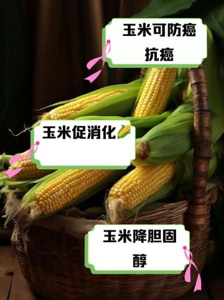 玉米减肥能吃吗_玉米的功效与作用减肥-第1张图片-山城妙识 玉米减肥能吃吗_玉米的功效与作用减肥-第1张图片-山城妙识
