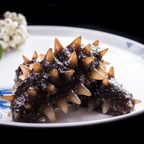 刺参的做法有哪几种_家常刺参怎么做好吃-第3张图片-山城妙识 刺参的做法有哪几种_家常刺参怎么做好吃-第3张图片-山城妙识