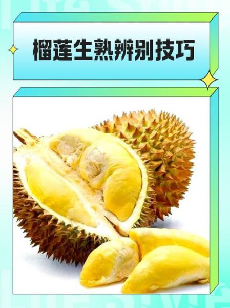 生榴莲放几天才能熟_如何判断榴莲成熟-第2张图片-山城妙识