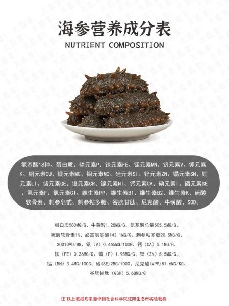 海参怎么吃最营养_海参的功效与作用-第2张图片-山城妙识