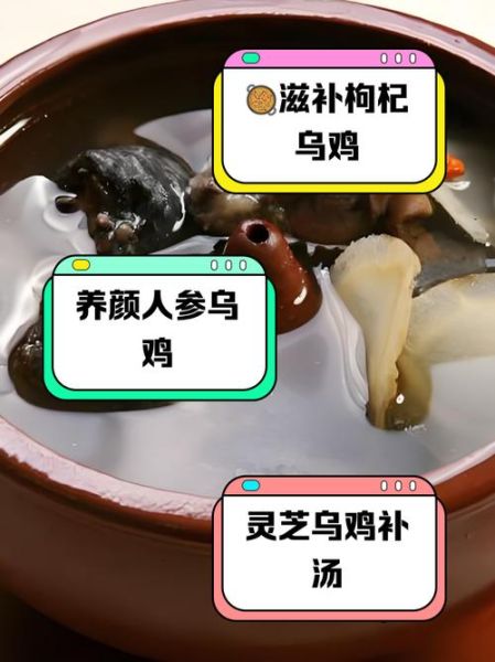 乌鸡汤怎么炖最有营养_乌鸡汤怎么炖好吃-第3张图片-山城妙识