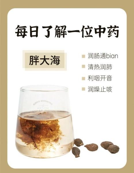 胖大海的功效与禁忌_哪些人不能喝-第3张图片-山城妙识 胖大海的功效与禁忌_哪些人不能喝-第3张图片-山城妙识