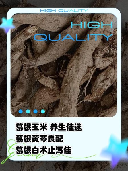 葛根煲汤搭配什么好_葛根煲汤的最佳食材组合-第2张图片-山城妙识