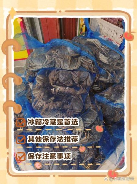螃蟹怎么保存_活螃蟹放冰箱能活几天-第1张图片-山城妙识
