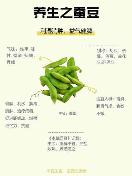 蚕豆的功效与作用_蚕豆的禁忌和食用方法-第1张图片-山城妙识
