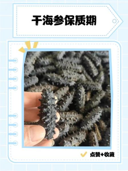 干海参保质期多长时间_怎么保存最好-第2张图片-山城妙识 干海参保质期多长时间_怎么保存最好-第2张图片-山城妙识