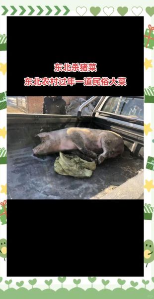 东北杀猪菜怎么做_东北杀猪菜纪录片哪里看-第3张图片-山城妙识