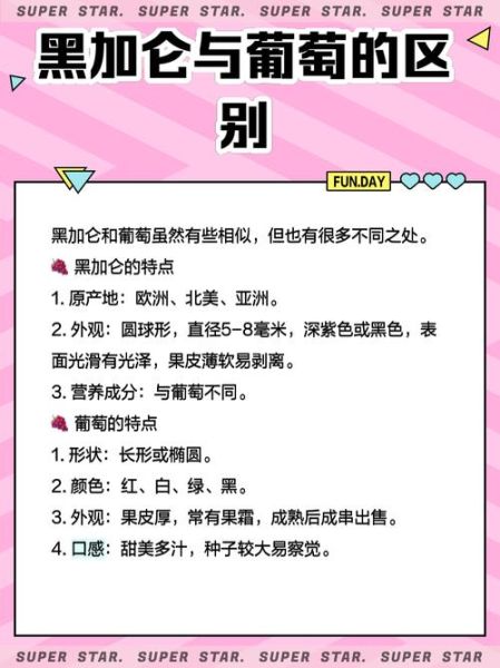 黑加仑葡萄多少钱一斤_黑加仑葡萄价格行情-第3张图片-山城妙识