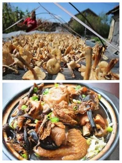 榛蘑煮多久能熟_榛蘑要焯水吗-第2张图片-山城妙识