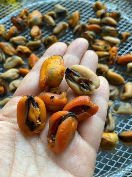 淡菜怎么做好吃_淡菜的家常做法大全-第2张图片-山城妙识