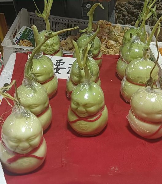 人参果价格多少钱一斤_人参果为什么这么贵-第2张图片-山城妙识 人参果价格多少钱一斤_人参果为什么这么贵-第2张图片-山城妙识