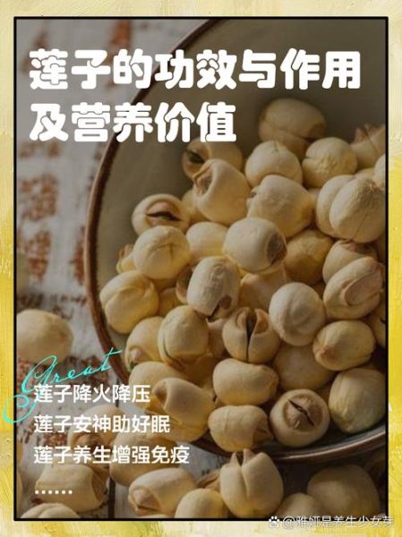 莲子生吃有什么好处_莲子生吃功效与作用-第1张图片-山城妙识