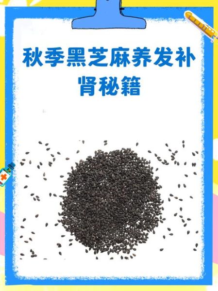 掉头发吃黑芝麻有用吗_黑芝麻防脱真相-第1张图片-山城妙识 掉头发吃黑芝麻有用吗_黑芝麻防脱真相-第1张图片-山城妙识
