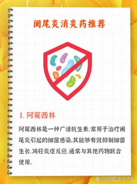 阑尾炎吃什么药见效快_阑尾炎吃什么消炎药好-第3张图片-山城妙识 阑尾炎吃什么药见效快_阑尾炎吃什么消炎药好-第3张图片-山城妙识
