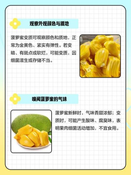 菠萝蜜一次吃了20颗会怎么样_吃多后怎么补救-第3张图片-山城妙识 菠萝蜜一次吃了20颗会怎么样_吃多后怎么补救-第3张图片-山城妙识