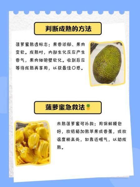 菠萝蜜一次吃了20颗会怎么样_吃多后怎么补救-第2张图片-山城妙识 菠萝蜜一次吃了20颗会怎么样_吃多后怎么补救-第2张图片-山城妙识