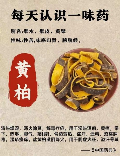 黄柏的功效与作用有哪些_黄柏主治什么病-第1张图片-山城妙识