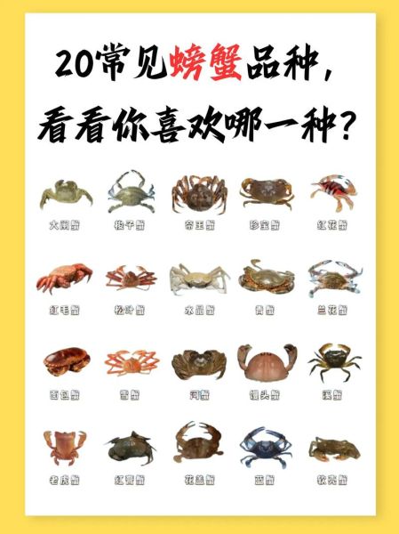 螃蟹种类大全_哪种螃蟹最好吃-第1张图片-山城妙识 螃蟹种类大全_哪种螃蟹最好吃-第1张图片-山城妙识