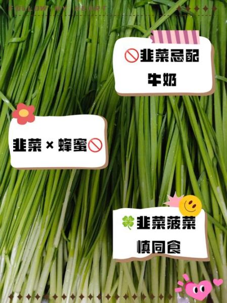 韭菜不能和什么一起吃_韭菜相克食物大全-第1张图片-山城妙识