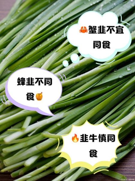韭菜不能和什么一起吃_韭菜相克食物大全-第2张图片-山城妙识
