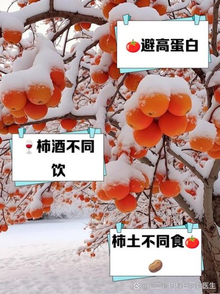 吃完柿子不能吃什么_柿子相克食物清单-第2张图片-山城妙识