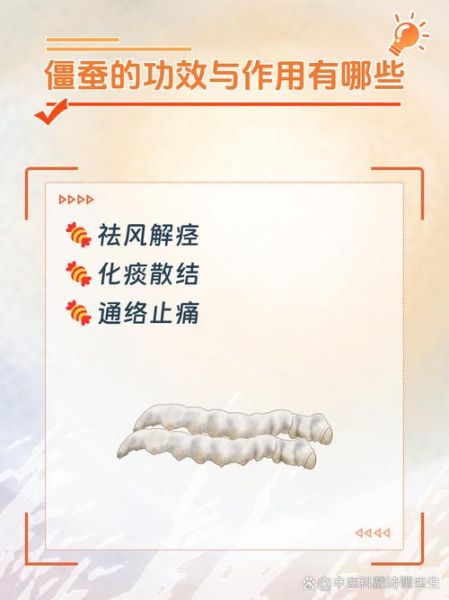 僵蚕的功效与作用_僵蚕主治哪些病-第1张图片-山城妙识