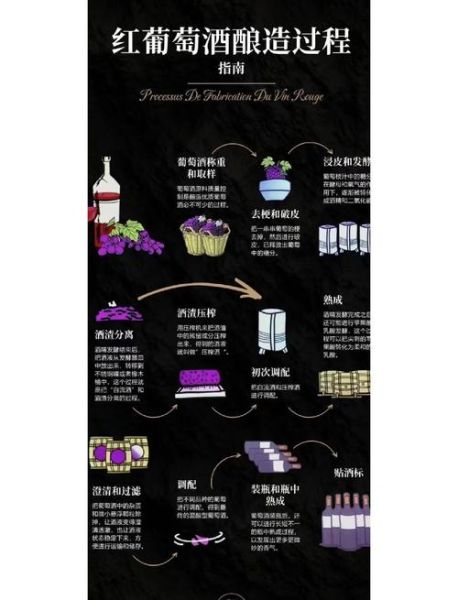 葡萄酒的制作方法_葡萄酒酿造步骤详解-第2张图片-山城妙识
