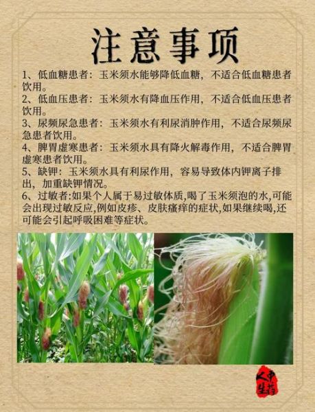 玉米须的功效与作用_玉米须怎么吃效果最好-第1张图片-山城妙识 玉米须的功效与作用_玉米须怎么吃效果最好-第1张图片-山城妙识