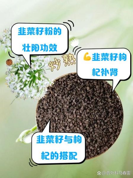 韭菜籽怎么吃补肾_韭菜籽补肾的正确吃法-第1张图片-山城妙识 韭菜籽怎么吃补肾_韭菜籽补肾的正确吃法-第1张图片-山城妙识