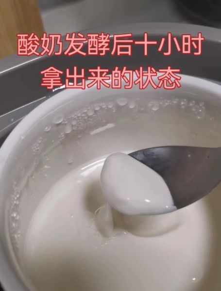 果语酸奶机怎么做酸奶_自制酸奶失败原因-第2张图片-山城妙识