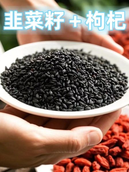 韭菜籽怎么吃补肾_韭菜籽补肾的正确吃法-第2张图片-山城妙识 韭菜籽怎么吃补肾_韭菜籽补肾的正确吃法-第2张图片-山城妙识