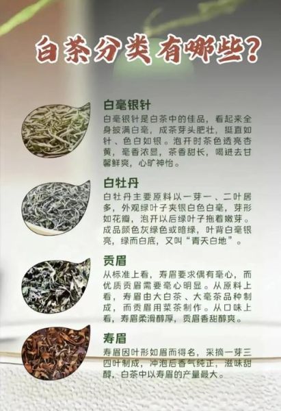 喝白茶有什么好处和坏处_白茶适合长期喝吗-第1张图片-山城妙识 喝白茶有什么好处和坏处_白茶适合长期喝吗-第1张图片-山城妙识