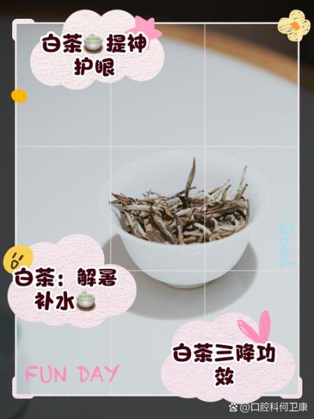 喝白茶有什么好处和坏处_白茶适合长期喝吗-第3张图片-山城妙识 喝白茶有什么好处和坏处_白茶适合长期喝吗-第3张图片-山城妙识