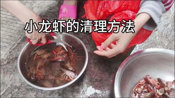 龙虾怎么清洗_龙虾清洗视频教程-第2张图片-山城妙识 龙虾怎么清洗_龙虾清洗视频教程-第2张图片-山城妙识