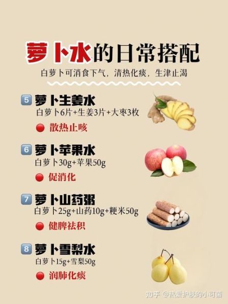 白萝卜汤的做法_白萝卜汤的功效-第3张图片-山城妙识 白萝卜汤的做法_白萝卜汤的功效-第3张图片-山城妙识