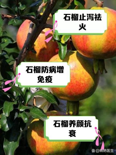 常吃石榴有什么好处和坏处_哪些人不能吃-第1张图片-山城妙识 常吃石榴有什么好处和坏处_哪些人不能吃-第1张图片-山城妙识