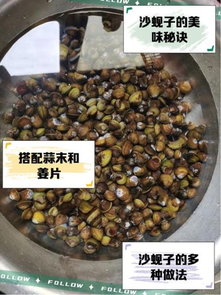 蚬子怎么吐沙子_蚬子吐沙子最快的方法-第3张图片-山城妙识 蚬子怎么吐沙子_蚬子吐沙子最快的方法-第3张图片-山城妙识