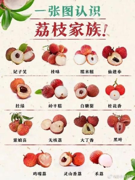 荔枝肉热量是多少_减肥能吃吗-第3张图片-山城妙识 荔枝肉热量是多少_减肥能吃吗-第3张图片-山城妙识