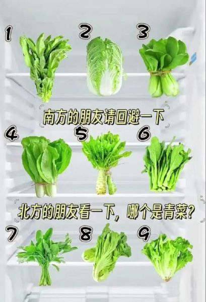 青菜种类图片及名称_常见青菜有哪些-第1张图片-山城妙识