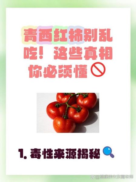青西红柿能吃吗_青西红柿有毒吗-第1张图片-山城妙识 青西红柿能吃吗_青西红柿有毒吗-第1张图片-山城妙识