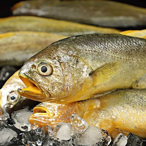 冷冻黄花鱼怎么做好吃_冷冻黄花鱼的家常做法-第3张图片-山城妙识