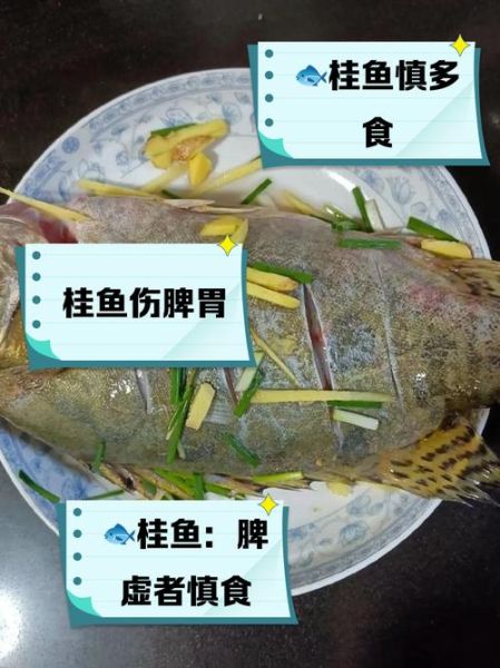 桂鱼寒性还是热性_孕妇能吃桂鱼吗-第3张图片-山城妙识 桂鱼寒性还是热性_孕妇能吃桂鱼吗-第3张图片-山城妙识