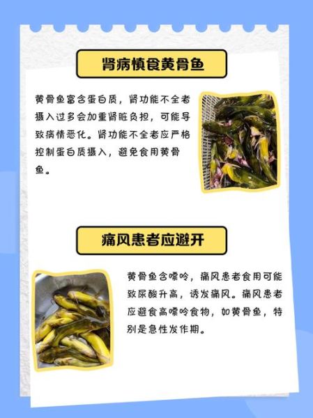 黄骨鱼是海鱼还是淡水鱼_黄骨鱼生活习性-第2张图片-山城妙识 黄骨鱼是海鱼还是淡水鱼_黄骨鱼生活习性-第2张图片-山城妙识