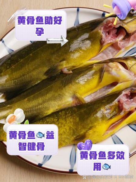 黄骨鱼是海鱼还是淡水鱼_黄骨鱼生活习性-第1张图片-山城妙识 黄骨鱼是海鱼还是淡水鱼_黄骨鱼生活习性-第1张图片-山城妙识