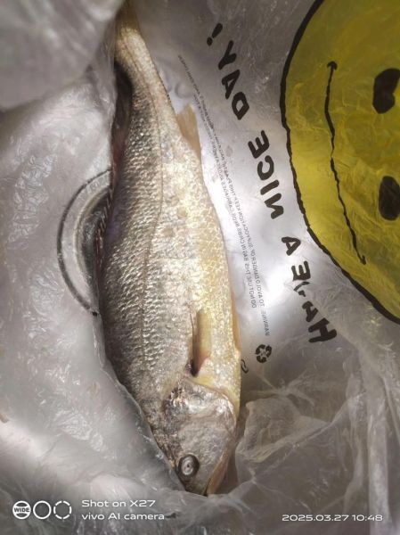 黄花鱼怎么做汤好喝_黄花鱼汤去腥技巧-第2张图片-山城妙识 黄花鱼怎么做汤好喝_黄花鱼汤去腥技巧-第2张图片-山城妙识