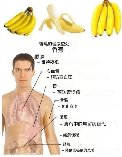 香蕉吃多了有什么副作用_香蕉一天吃几根合适-第1张图片-山城妙识