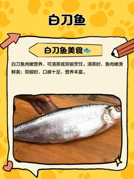 白刀鱼怎么做好吃_白刀鱼的做法大全家常-第2张图片-山城妙识 白刀鱼怎么做好吃_白刀鱼的做法大全家常-第2张图片-山城妙识