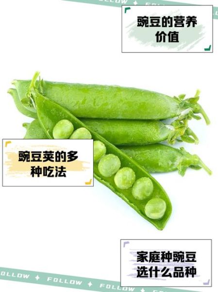 豌豆荚破解版安全吗_豌豆荚破解版怎么下载-第2张图片-山城妙识 豌豆荚破解版安全吗_豌豆荚破解版怎么下载-第2张图片-山城妙识